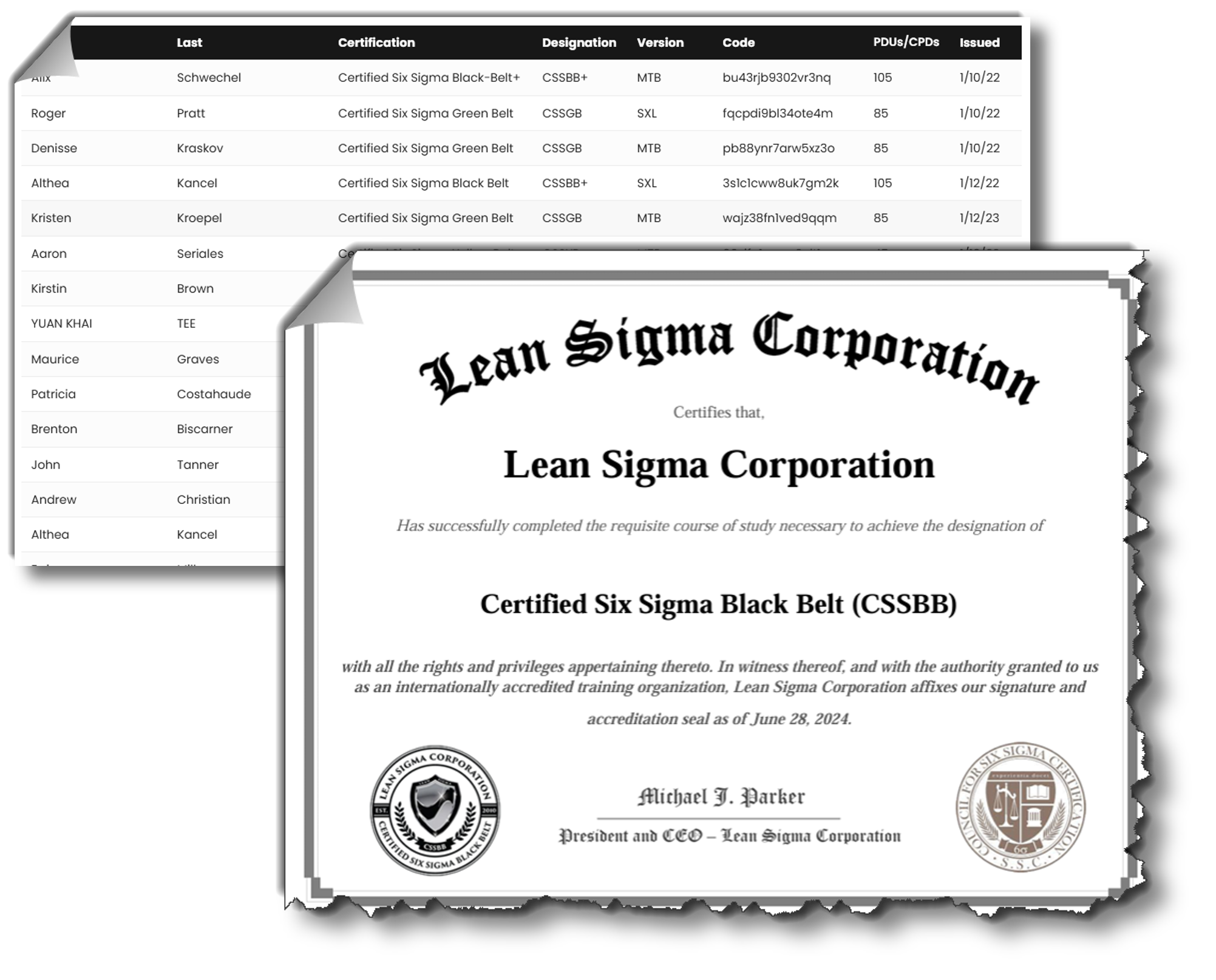 Training Programs - Lean Sigma Corporation